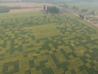 The Biggest QR Codes Ever Created | My QR Code