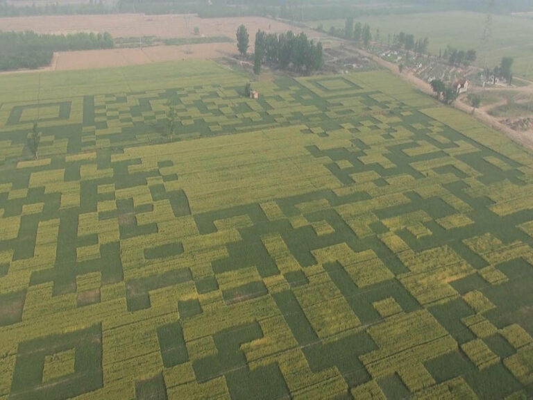 The Biggest QR Codes Ever Created | My QR Code