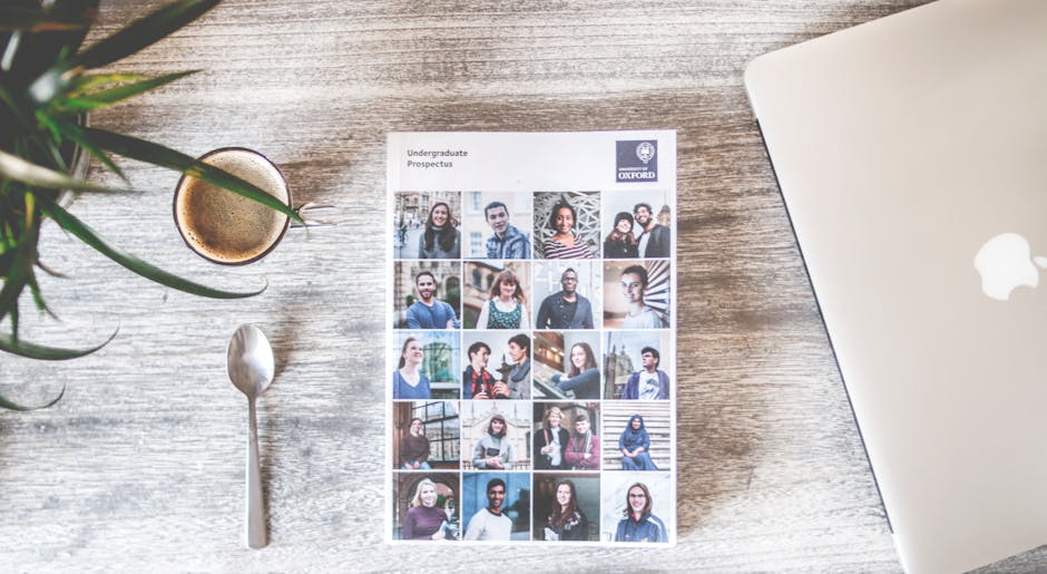 QR Codes for Magazine | Simplify Your Content with My QR Code